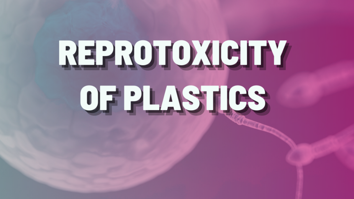 Reprotoxicity of plastics - Magapor USA