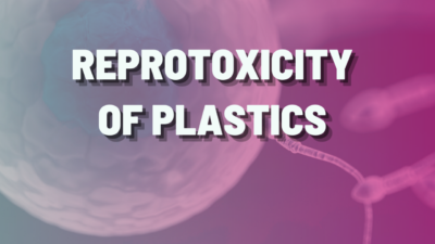 Reprotoxicity of plastics - Magapor USA